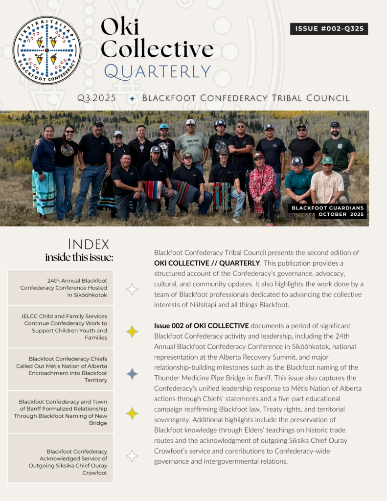 OKI COLLECTIVE | Issue 002 Community, Sovereignty, and Forward Momentum ...
